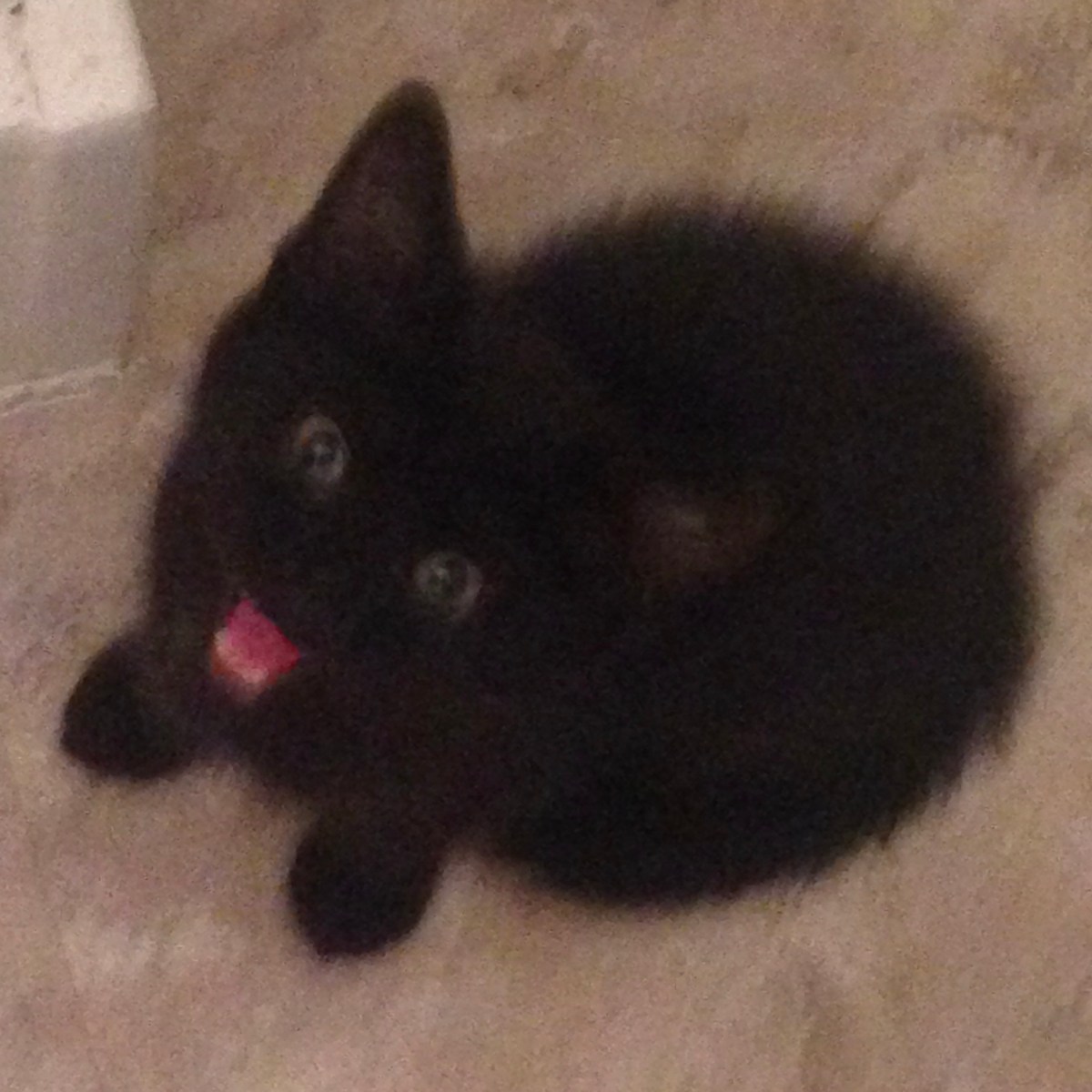 Eight Years Ago ️🐈‍⬛ | The Closet Professor