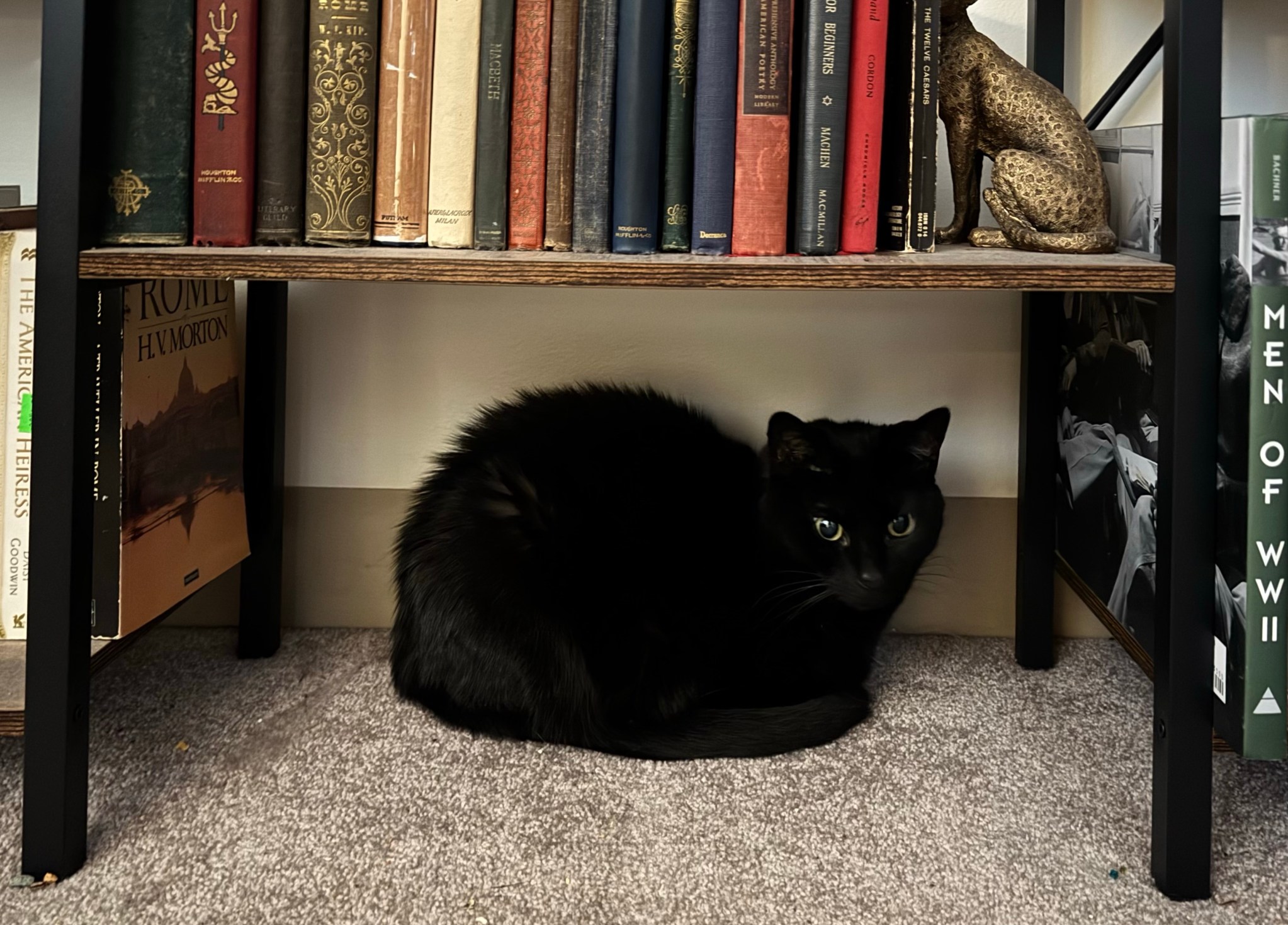 The Closet Professor | A blog about LGBTQ+ History, Art, Literature ...